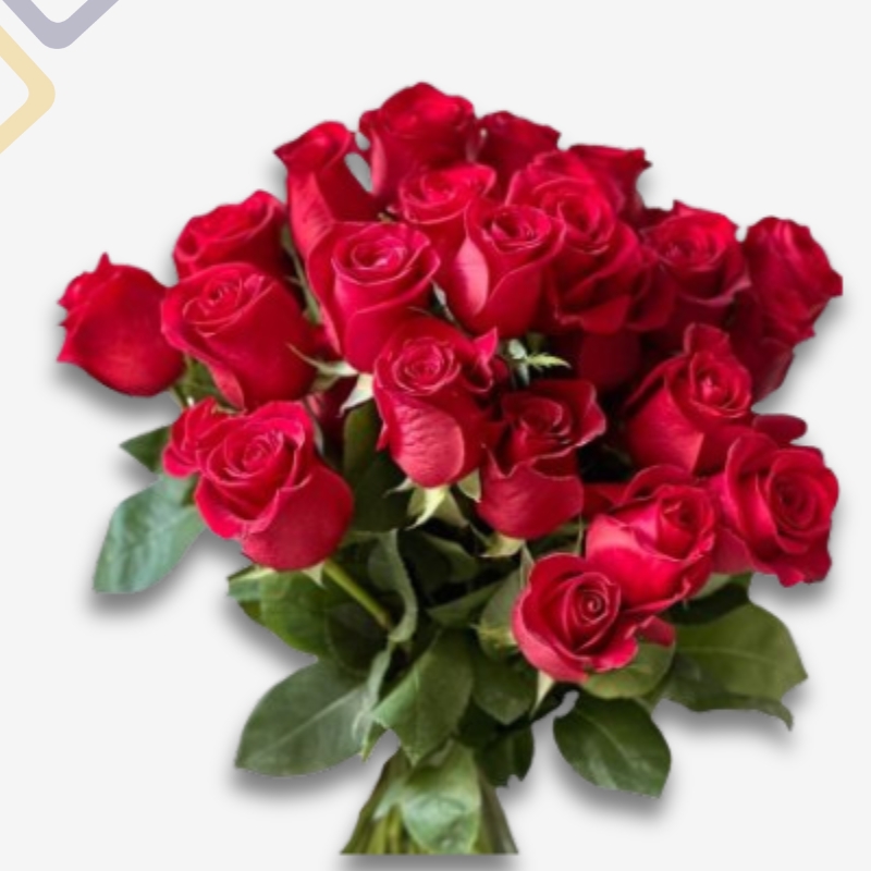 Mazzo di Rose Rosse Coral - Consegna a domicilio Milano | Cosaporto