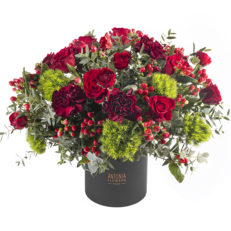 Flower Box "Stromboli" bianca/nera - da S a XL - Ordina su Cosaporto .it